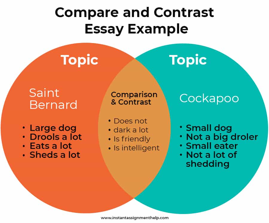 Compare And Contrast Essay Examples 3rd Grade Orfopt